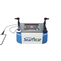 China Smart Tecar Therapy Machine 300W 450kHz CET RET RF Physiotherapy Pain Relief for sale
