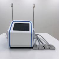 China Portable EMS Cryolipolysis Fat Freezing Machine with E-Cool Pad for Body Sculpting 110V 220V for sale