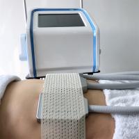 China Portable EMS Cryolipolysis Fat Freezing Machine with E-Cool Pad for Body Sculpting 110V 220V for sale