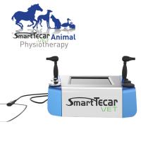 China Portable Veterinary Tecar Therapy Machine 4.0MHz for Pet Horse Dog Cat Pain Relief for sale