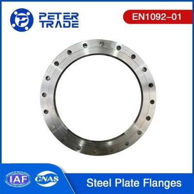 China EN1092-01 SS304 SS316 Plate Flange Type 01 PN100 PLFF DN10 to DN350 for Oil and Gas Pipelines for sale