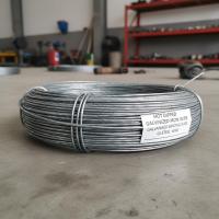 China Hot Dipped Galvanized Iron Wire with Q195 Low Carbon Steel and 30-60g/m² Zinc Coating for Construction and Binding for sale