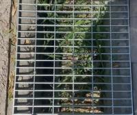 China ASTM A36 Carbon Steel Grating for Structural Platforms with High Load Capacity for sale