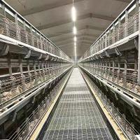 China Automatic Battery Day Old Chicks Poultry Equipment Automated Pullet Brooding Cages for Layers for sale