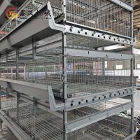 China Automatic Battery Day Old Chicks Poultry Equipment Automated Pullet Brooding Cages for Layers for sale