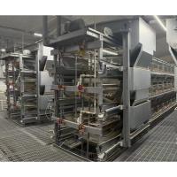 China Poultry Farm Automatic Equipment Multi Tiers Pullet Layer Egg Hen Chicken Cage Day Old Baby Chickens Pullet Chicken Cage for sale