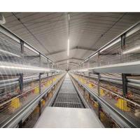 China Poultry Farm Automatic Equipment Multi Tiers Pullet Layer Egg Hen Chicken Cage Day Old Baby Chickens Pullet Chicken Cage for sale