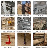 China Poultry Farm Automatic Equipment Multi Tiers Pullet Layer Egg Hen Chicken Cage Day Old Baby Chickens Pullet Chicken Cage for sale