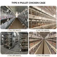China Poultry Farm Automatic Equipment Multi Tiers Pullet Layer Egg Hen Chicken Cage Day Old Baby Chickens Pullet Chicken Cage for sale