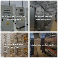 China Poultry Farm Automatic Equipment Multi Tiers Pullet Layer Egg Hen Chicken Cage Day Old Baby Chickens Pullet Chicken Cage for sale