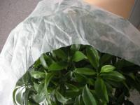 China Online Technical Support for Hot-stamping Non-woven Fabric Agricultural Packaging for sale