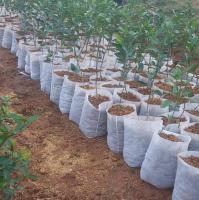 China Spun Bounded Nonwoven Fabric For Agriculture Medical Clothing for sale