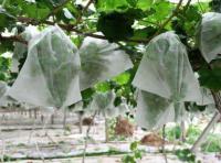 China PP Non Woven Fabric 350g Agricultural Geotextile Cloth 10-320cm for sale