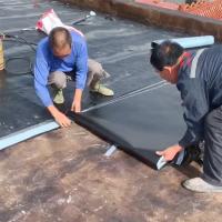 China Traditional Design SBS Modified Bitumen Waterproof Membrane for Total Project Solutions for sale