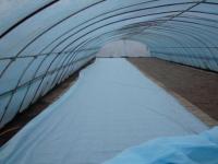 China Custom Packaging Fabric Nonwoven Garden Cloth for Agriculture Plain Style PP Spunbond for sale