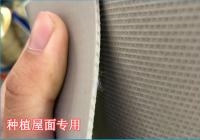 China 2.0mm Green PVC Single Ply Waterproofing Membrane for Flat Roof Traditional Design Style for sale