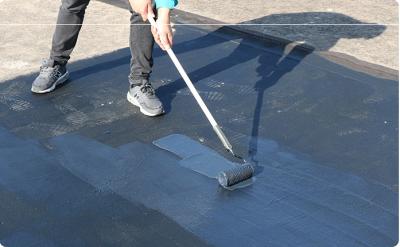 China Easy To Apply Waterproofing Coating For Leaks And Cracks Repair for sale