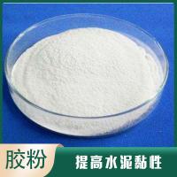 China Waterproof Leak-proof Dry Powder On Cement Floors Kitchen Floors Bathroom Floors for sale
