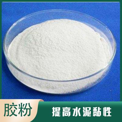 China Waterproof Leak-proof Dry Powder On Cement Floors Kitchen Floors Bathroom Floors for sale