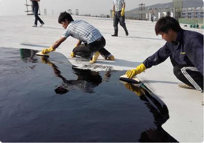 China Cement Based Waterproof Mortar Plugging Powder To Quickly Repair Walls Floors for sale