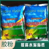 China Cement Floor Waterproof Quick-Drying Dry Powder Coating Moisture Proof for sale