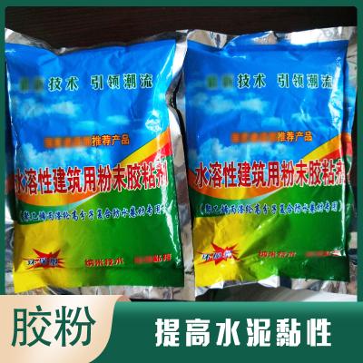 China Cement Floor Waterproof Quick-Drying Dry Powder Coating Moisture Proof for sale