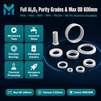 China High Precision Alumina Ceramic Mechanical Seal Ring for sale