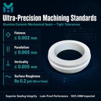 China High Precision Alumina Ceramic Mechanical Seal Ring for sale