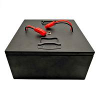 China Lithium Ion 24V 100Ah Personalised Battery Pack For AGV Car for sale