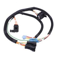 China OEM 5 Pin Automotive Cable Waterproof Connector Wiring Harness Assembly 100% Tested TS16949 for sale