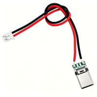 China OEM Type-C Male to PH2.0 2Pin Power Cable 24AWG 3A 12V DC Wiring Harness for Small Electronic Modules for sale