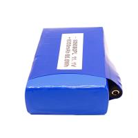 China 11.1V 6000mAh Lithium Polymer Battery Pack with BMS for Outdoor LED Strips CE Compliant for sale