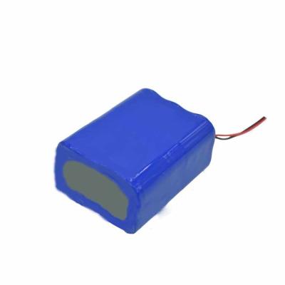 China Custom 12V 3600mAh 18650 Lithium Ion Battery Pack Rechargeable for Water Leak Sensors for sale