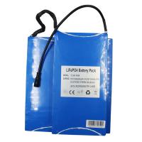 China Custom 42Ah 12.8V LiFePO4 Battery Pack 18650 for Home Solar System RV for sale