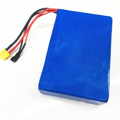 China 5200mAh 36V Lithium Ion Battery Pack 18650 1000 Cycle OEM ODM for Electric Vehicle for sale