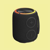 China Portable 16W Wireless Sound System Bluetooth/Aux/TF Card TPU ABS Fabric 10H Playtime Compatible with for sale