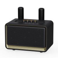 China Gadgets 2025 50W Premium Sound Bluetooth Speaker with Wireless Microphone for Karaoke for sale