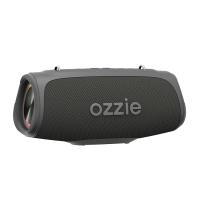 China 60W Waterproof Bluetooth Speaker with RGB LED Light and Wireless Bass for Outdoor Use for sale