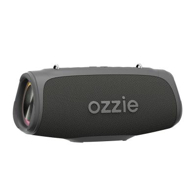 China 60W Waterproof Bluetooth Speaker with RGB LED Light and Wireless Bass for Outdoor Use for sale
