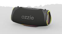 China High End Bluetooth Speaker with LED RGB Light and Big Bass for Wireless Party Sound for sale