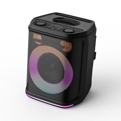 China 120W Outdoor Party Speaker with Deep Bass and Wireless Microphone for Bluetooth Karaoke Entertainment for sale