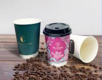 China Custom Double Wall Insulated Paper Cups with Logo Printing Eco Friendly Biodegradable Coffee Tea Cups for sale