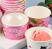 China Eco Friendly Leak Proof Custom Logo Disposable Ice Cream Cup And Bowls for sale