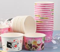 China Eco Friendly Leak Proof Custom Logo Disposable Ice Cream Cup And Bowls for sale
