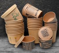 China Eco-Friendly Leak-Proof Paper Bowl | Customizable Disposable Food Container for Takeout Packaging for sale