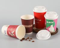 China Double Wall Insulated Custom Biodegradable Coffee Cup Water Resistant Lining Hot Drinks for sale