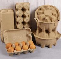 China 10 Cell Eco Friendly Biodegradable Shockproof Egg Packaging Box For Safe Transport for sale