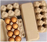 China 10 Cell Eco Friendly Biodegradable Shockproof Egg Packaging Box For Safe Transport for sale
