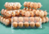 China Clear 30 Cell Disposable Plastic Egg Container With Lid For Shockproof Egg Storage Transport for sale