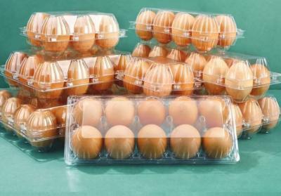 China Clear 30 Cell Disposable Plastic Egg Container With Lid For Shockproof Egg Storage Transport for sale